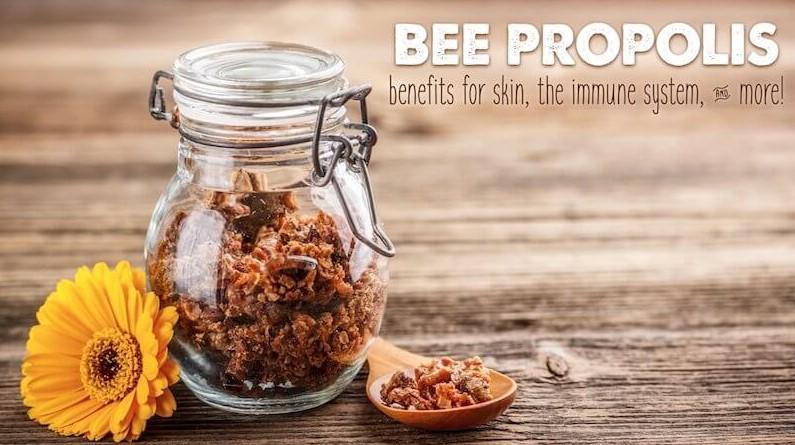 How to Differentiate Bee Propolis and Their Benefits – New Green Nutrition