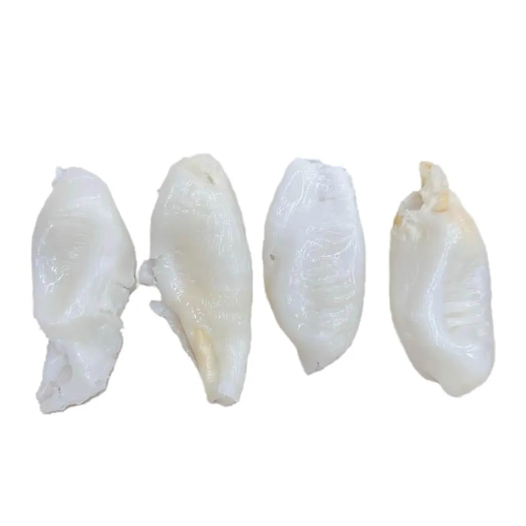 Premium Dried Croaker Fish Maw Medium Size (8oz) – New Green Nutrition