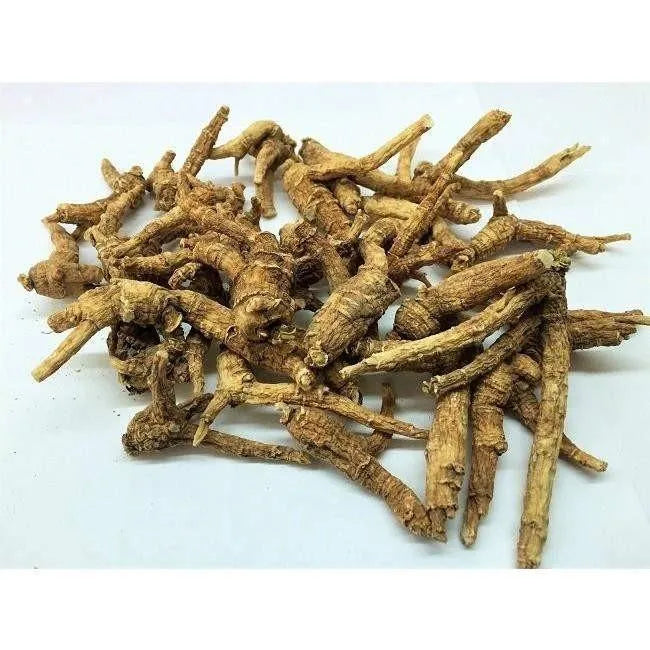 Premium American Ginseng Root-Original Root (1lb) – New Green Nutrition